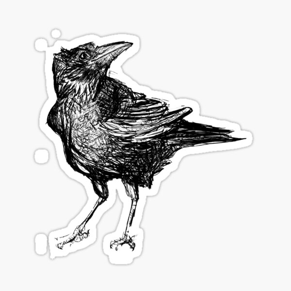 "Crow - ink drawing" Sticker for Sale by LucySeaCrow | Redbubble