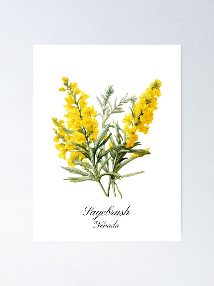 Nevada State Flower Meme