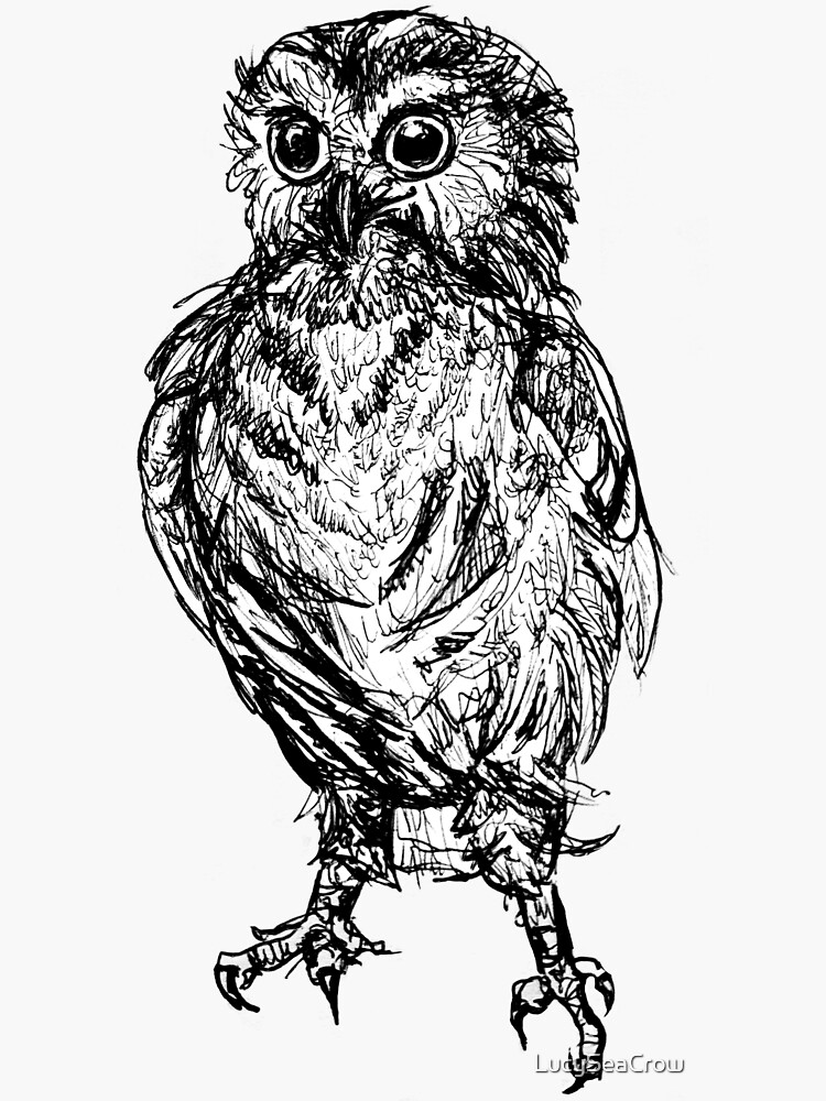 "Owl, ink drawing" Sticker by LucySeaCrow | Redbubble