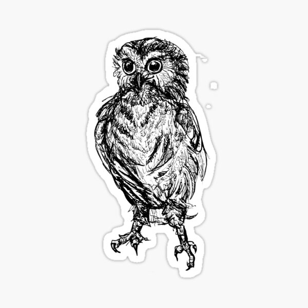 "Owl, ink drawing" Sticker by LucySeaCrow | Redbubble