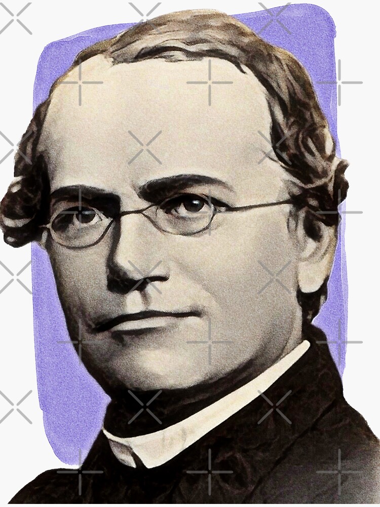 "German-Czech Gregor Mendel illustration " Sticker for Sale by Litstoy ...