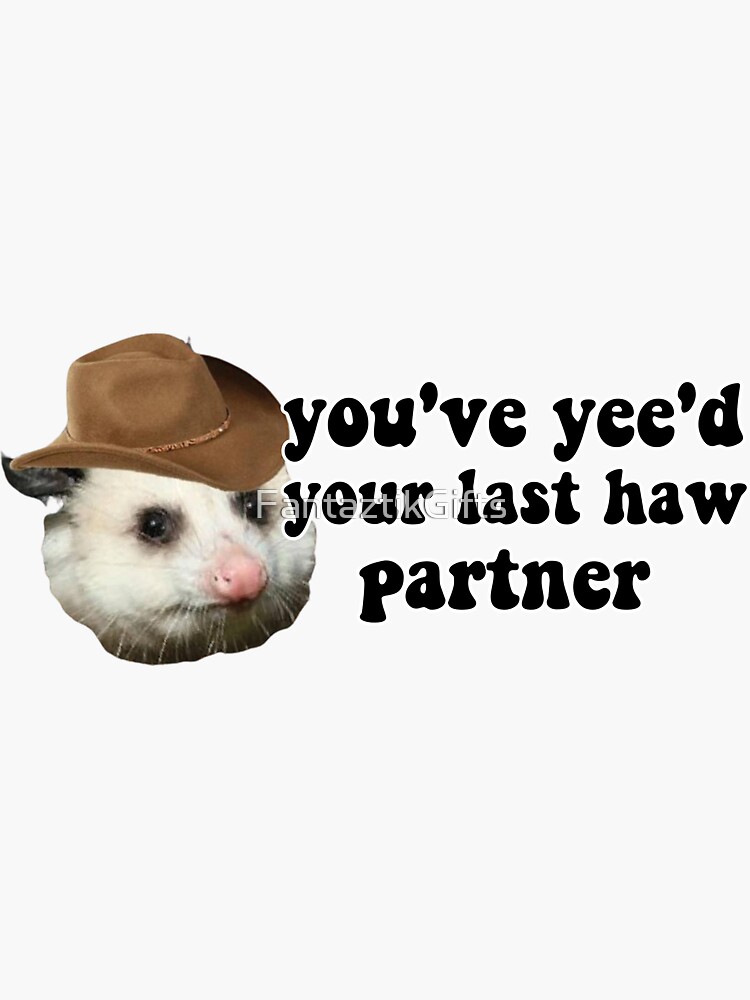 "Cowboy Possum, You've yee'd your last haw partner, Possum memes, Funny ...