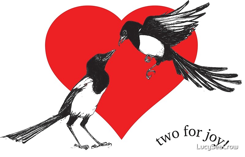 "Two for joy! Magpies in love" by LucySeaCrow | Redbubble