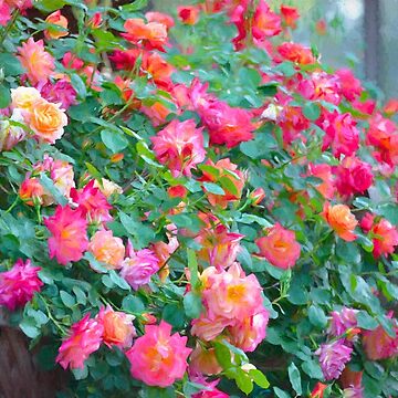 "Rose 360" Sticker for Sale by secretgardener | Redbubble