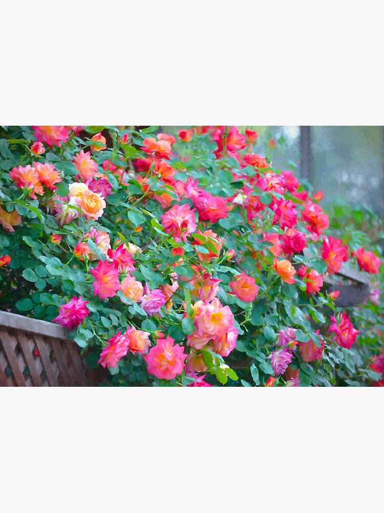 "Rose 360" Sticker for Sale by secretgardener | Redbubble