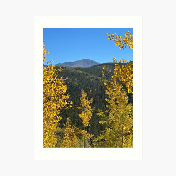 "Autumn Parry Peak" Art Print for Sale by SavingMemories | Redbubble