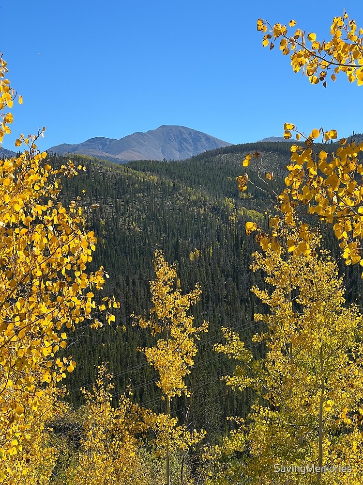 "Autumn Parry Peak" Art Print for Sale by SavingMemories | Redbubble