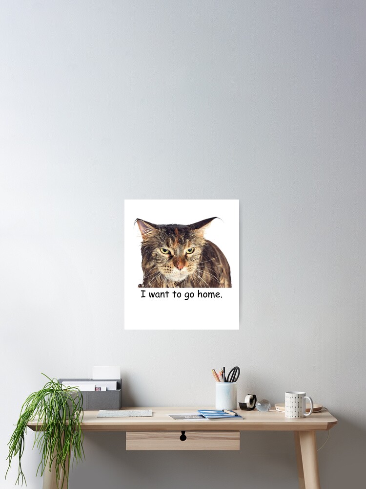 "I want to go home funny cat meme" Poster for Sale by NateCF | Redbubble
