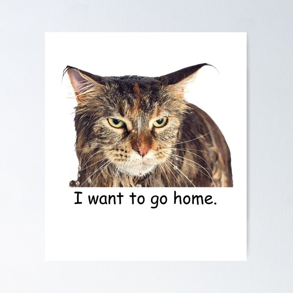 "I want to go home funny cat meme" Poster for Sale by NateCF | Redbubble