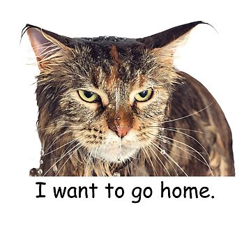 "I want to go home funny cat meme" Poster for Sale by NateCF | Redbubble
