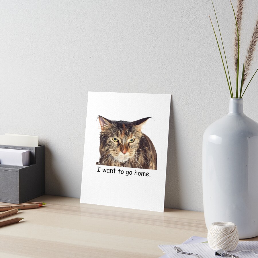 "I want to go home funny cat meme" Poster for Sale by NateCF | Redbubble
