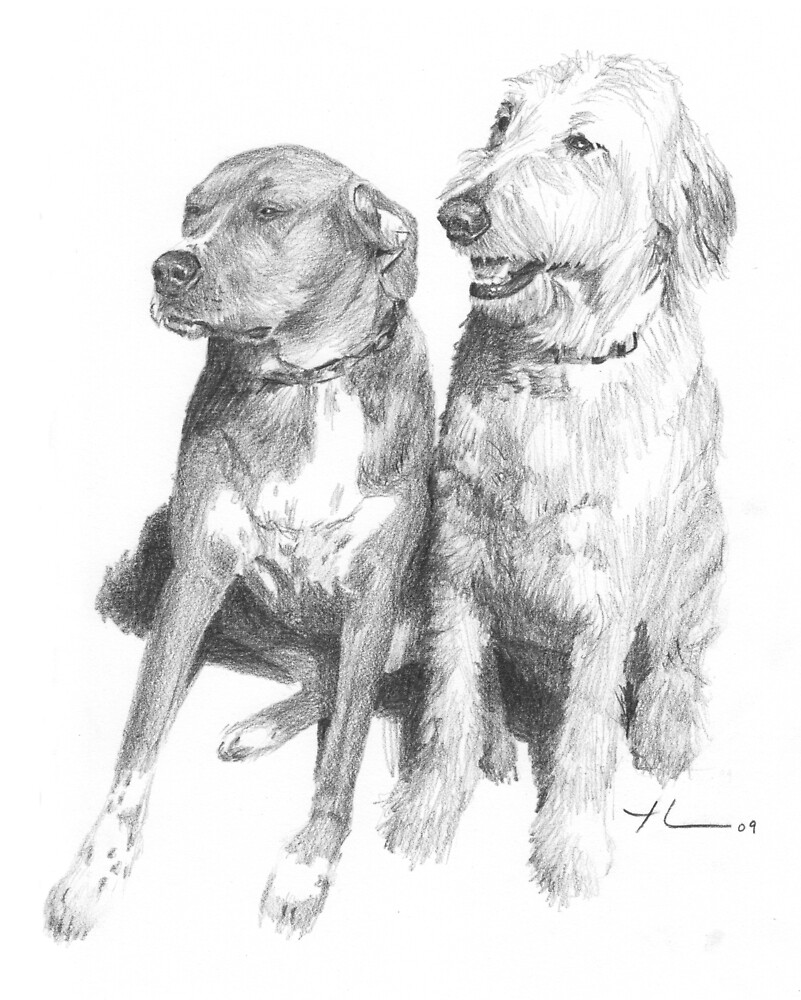 "Dog friends drawing" by mike theuer | Redbubble
