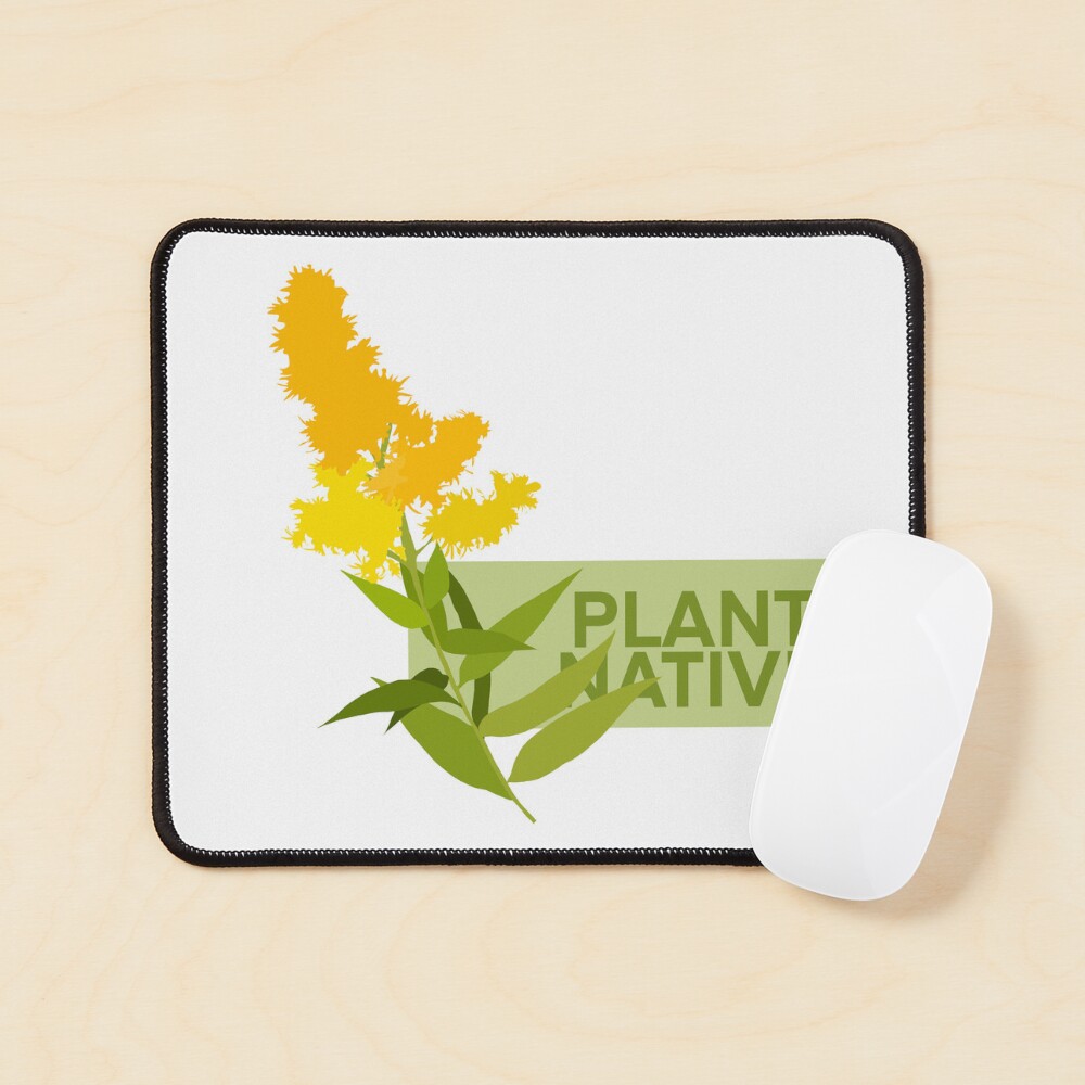 "Goldenrod Plant Native Botanical Illustration" Sticker for Sale by ...