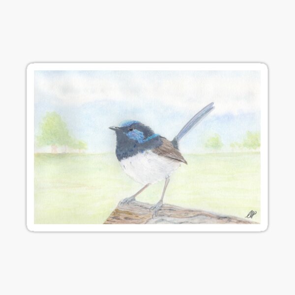 "Superb Fairy Wrens Outlook" Sticker for Sale by KathrynKathryn | Redbubble