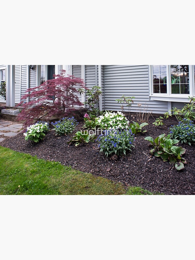 "Spring has Finally Sprung" Poster by wolftinz | Redbubble