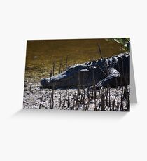 Alligator: Gifts & Merchandise | Redbubble