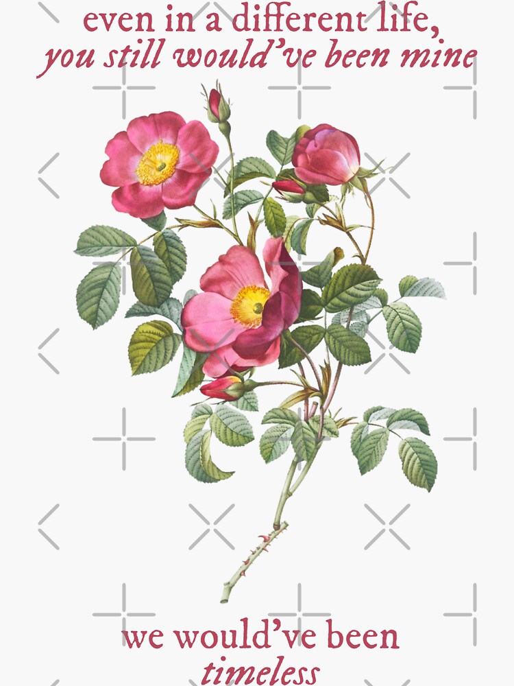 "taylor swift | timeless | you still would’ve been mine" Sticker for ...