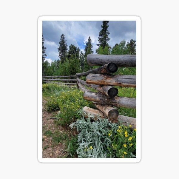 "Timbers in the Wild" Sticker for Sale by EyeOfDelight | Redbubble