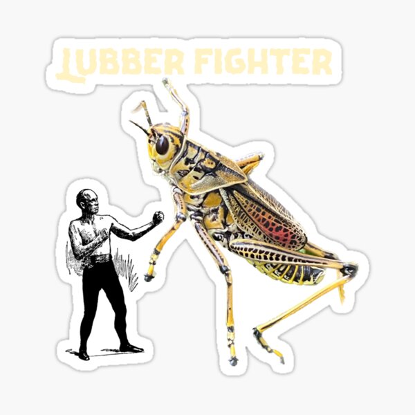 "Lubber Locust Fighter" Sticker for Sale by EndlessEtchings | Redbubble