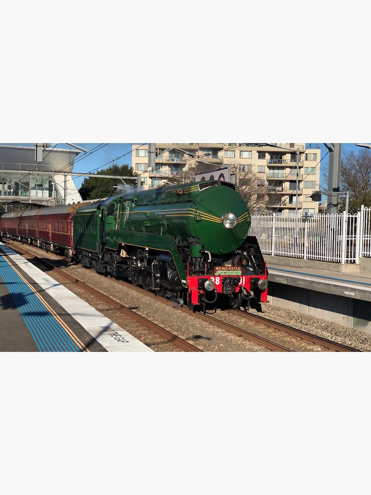 "Steam Locomotive 3801 - The Newcastle Flyer, June 2023" Sticker for ...