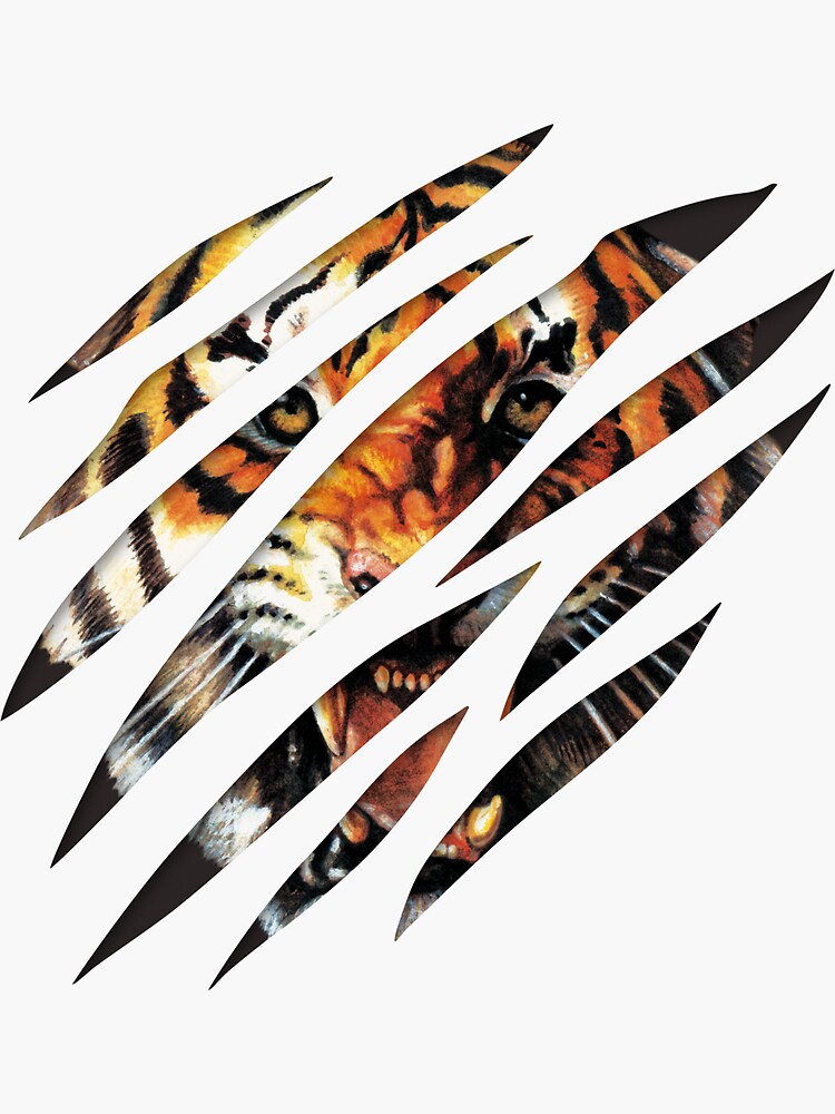 "RIPPED!" Sticker for Sale by TIGERRIFIC | Redbubble