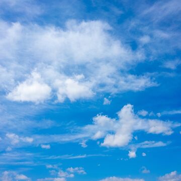 "Clear sky!" Sticker for Sale by seunghus | Redbubble