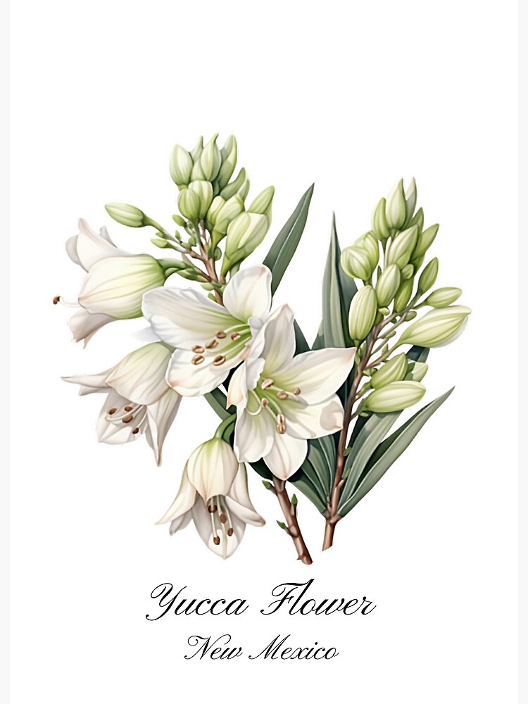 New Mexico National Flower