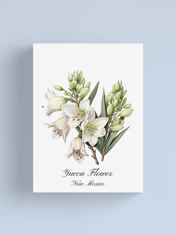 New Mexico State Flower Info