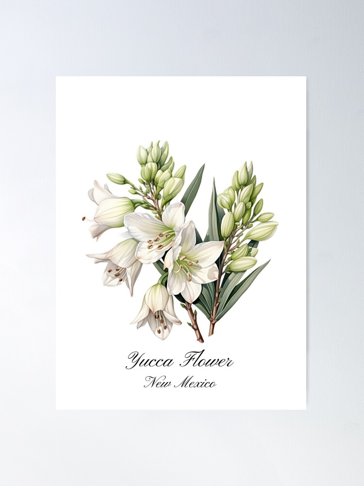 New Mexico Yucca Flower