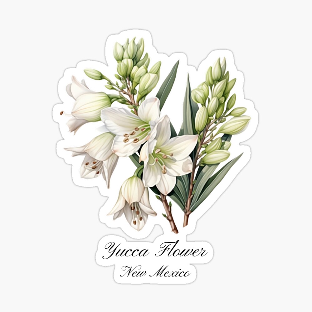 New Mexico State Flower White Yucca Flower Stock Photo. Image Of