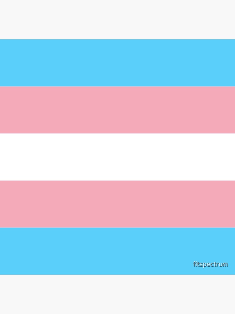 "Trans Pride Flag Stripes" Sticker by fitspectrum | Redbubble