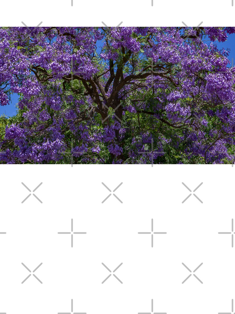 "Jacaranda Tree Brilliance - Bendigo, Victoria" Kids T-Shirt for Sale ...