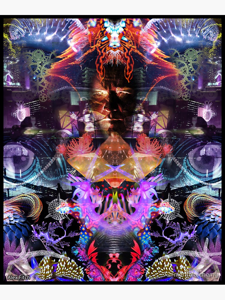 "Observer" Sticker for Sale by mentalalchemy | Redbubble