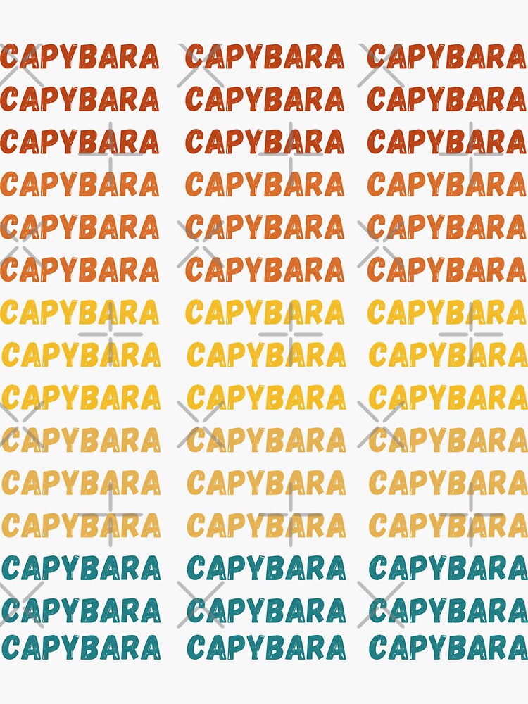"Capybara capybara capybara, retro sunset inscription" Sticker for Sale ...