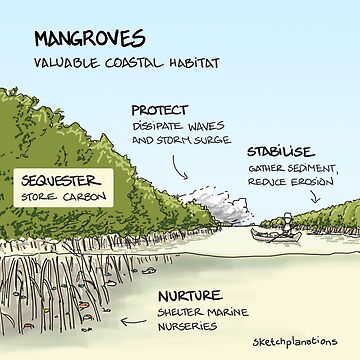 "Mangroves" Sticker for Sale by sketchplanator | Redbubble