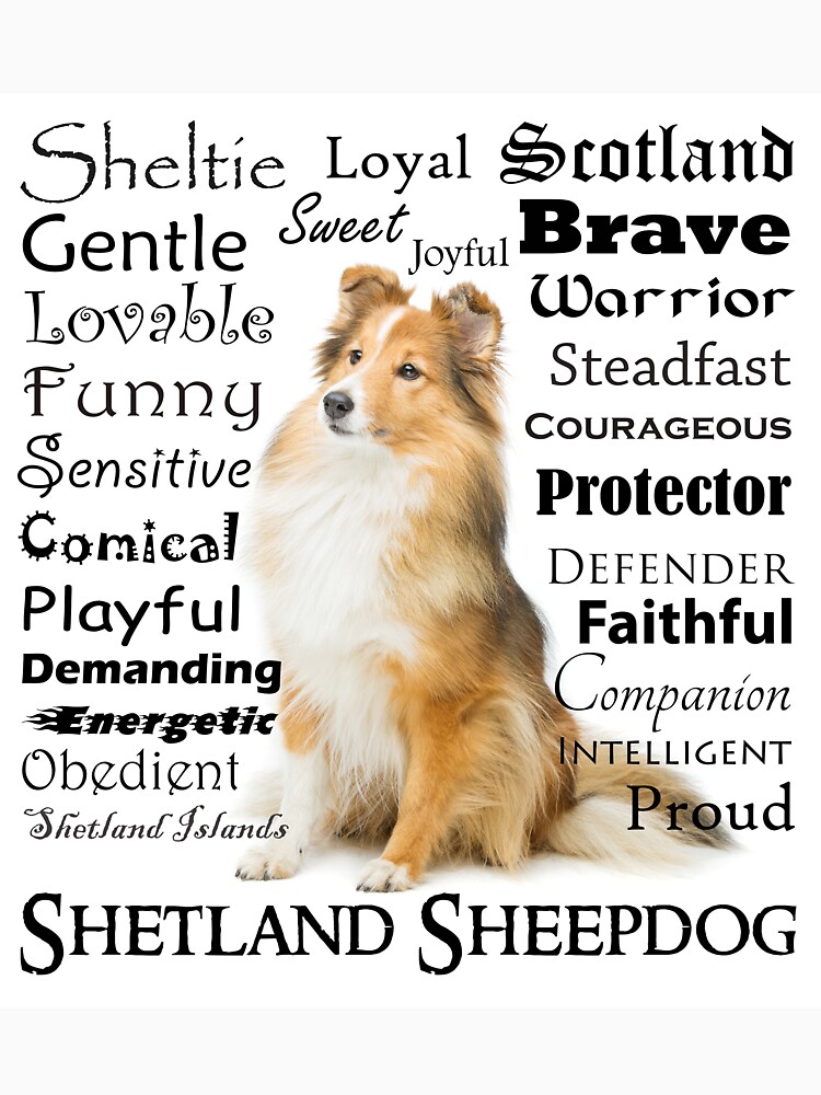 "Sheltie Traits" T-shirt for Sale by DogLove | Redbubble | shetland ...