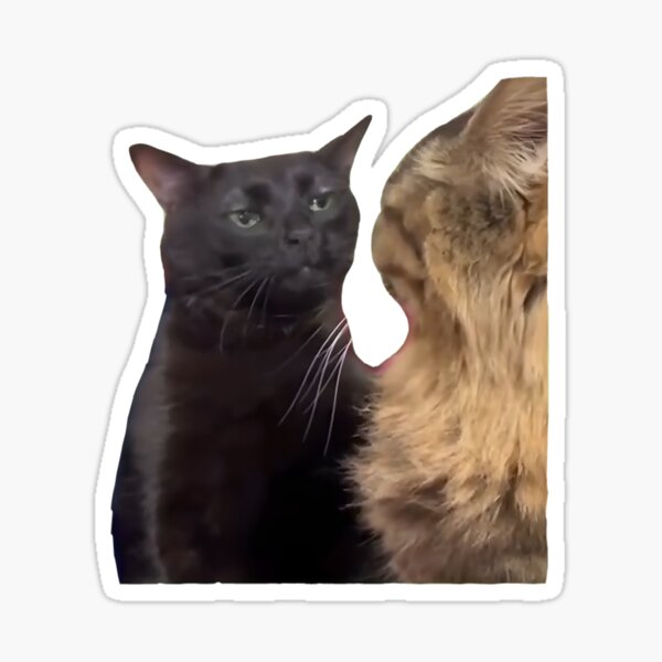  Black Cat Zoning Out Sticker For Sale By DesignSeed Store Redbubble
