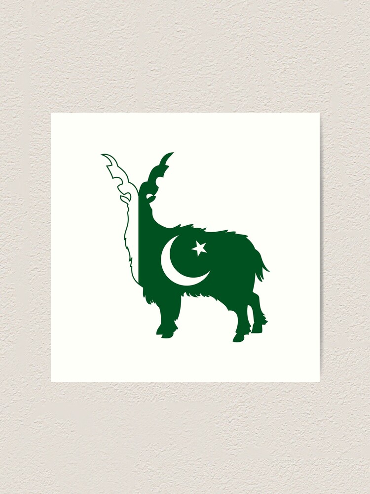 "Flag Markhor of Pakistan" Art Print for Sale by fourretout | Redbubble