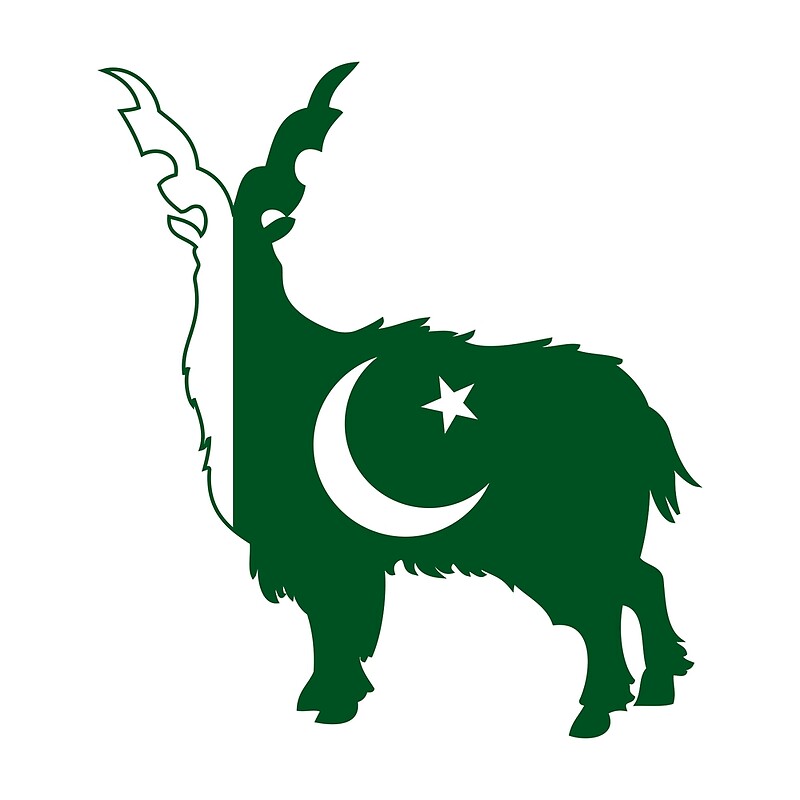 "Flag Markhor of Pakistan" by fourretout | Redbubble