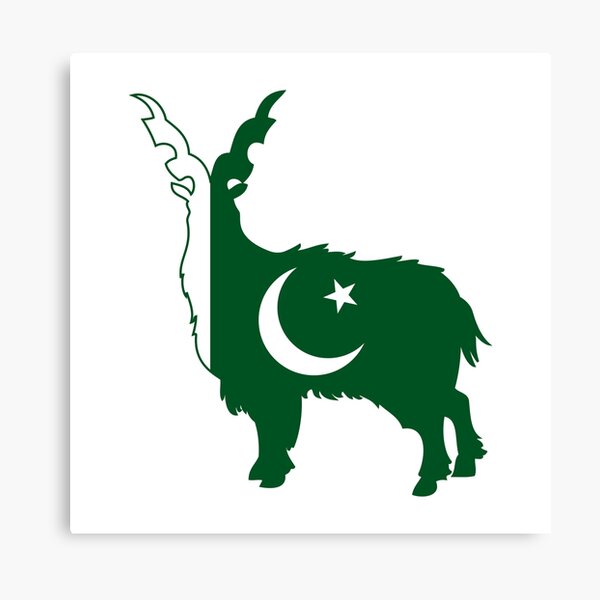 "Flag Markhor of Pakistan" Canvas Print by fourretout | Redbubble