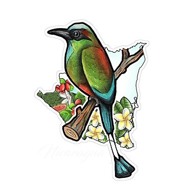 Pegatina con la obra «Guardabarranco NIC.» de PAMCartoons | Redbubble