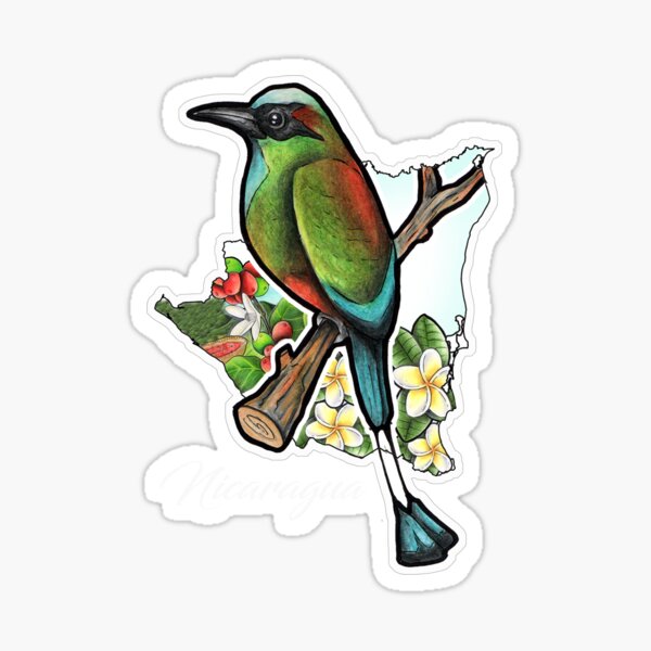 Pegatina con la obra «Guardabarranco NIC.» de PAMCartoons | Redbubble