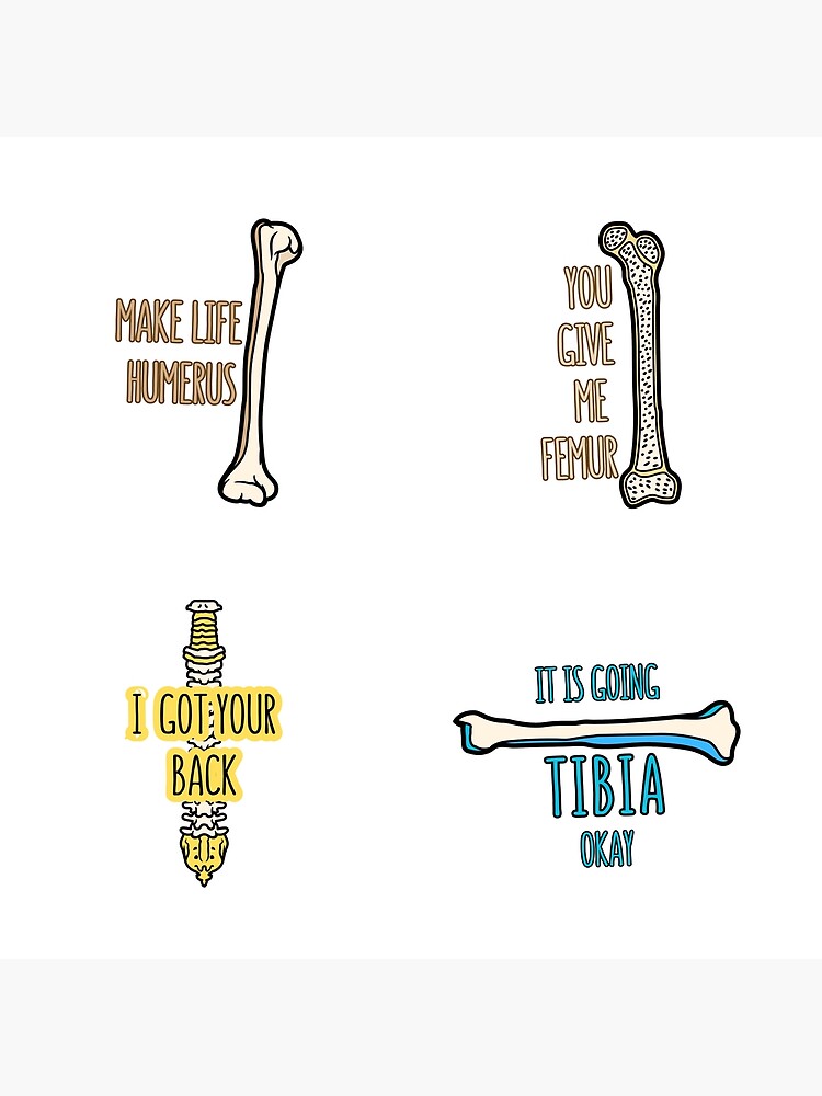 Human Anatomy Puns