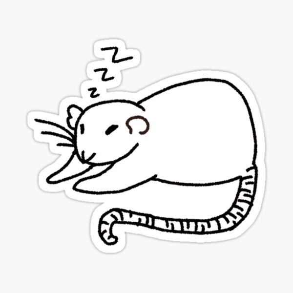 "sleepy rat sticker" Sticker for Sale by SecretStarShop | Redbubble