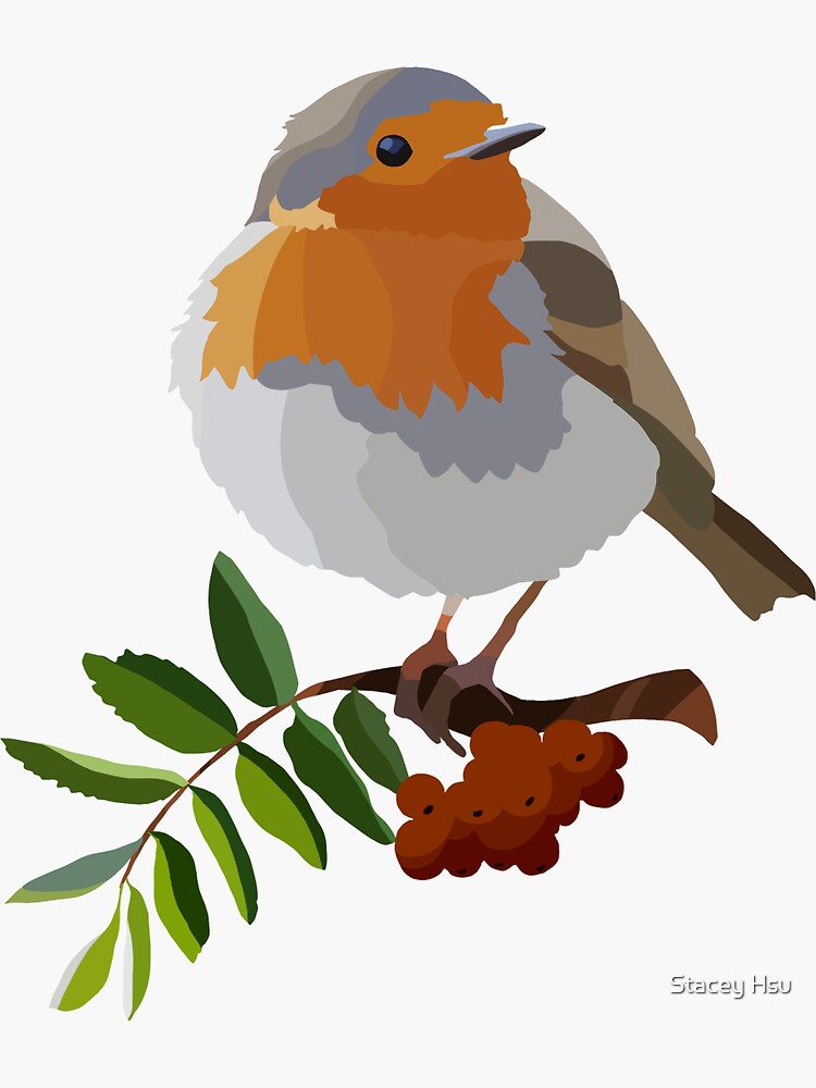 "English Robin on Rowan Branch Bird Illustration" Sticker for Sale by Stacey Hsu | Redbubble