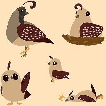 "Quail Family Pack" Sticker for Sale by DomaniMedia | Redbubble