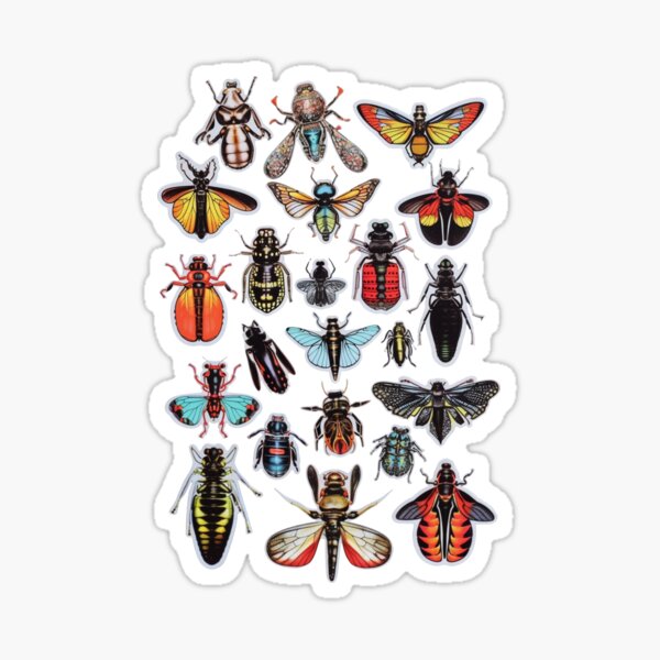 "Crazy colourful Insect stickers sheet" Sticker for Sale by Nicolas ...