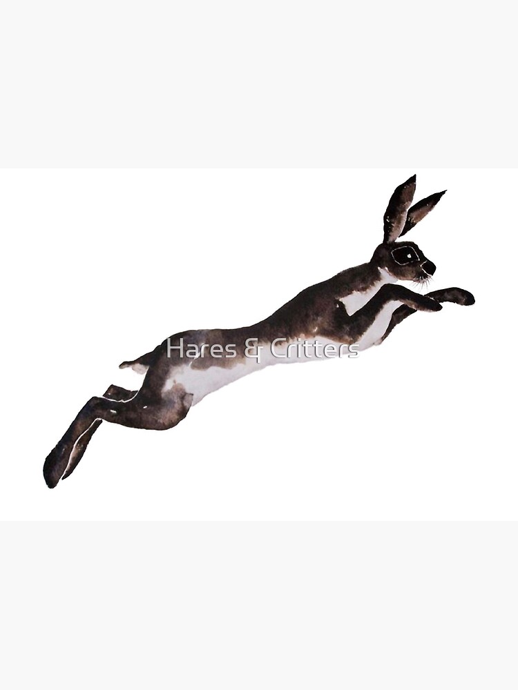 "LEAPING HARE " Poster by dbarker | Redbubble