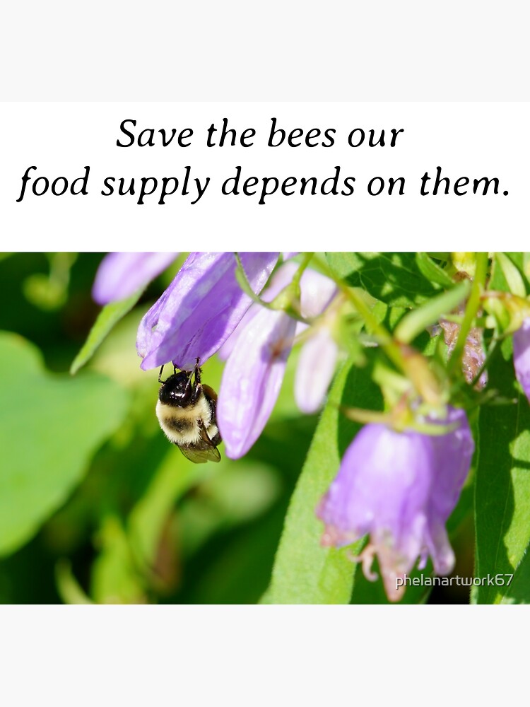 "Save the bees our food supply depends on them." Sticker for Sale by ...