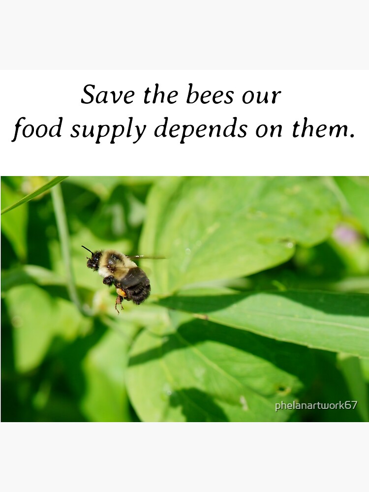 "Save the bees our food supply depends on them." Sticker for Sale by ...